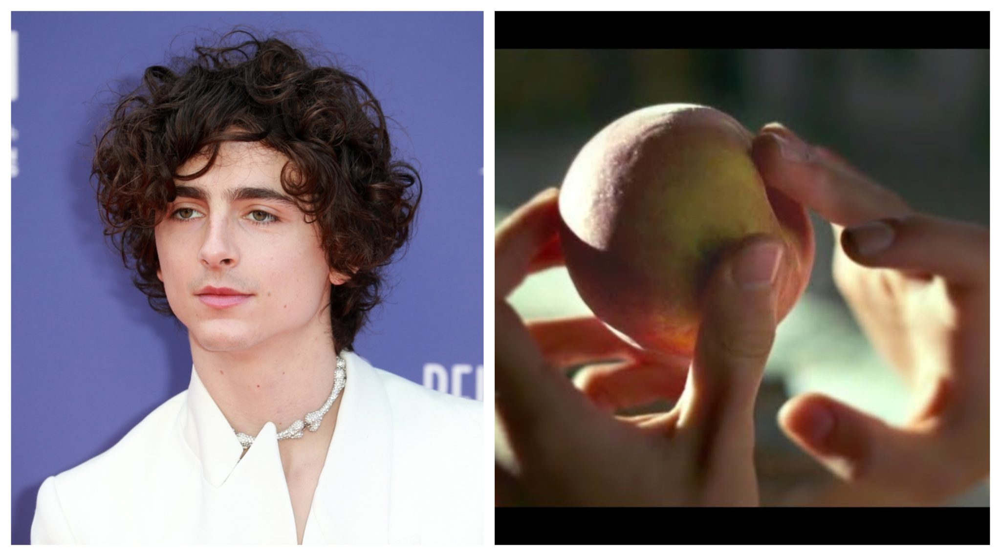 Timothée Chalamet Will Always Be ‘The Peach Fucker Guy’ To Local Man ...